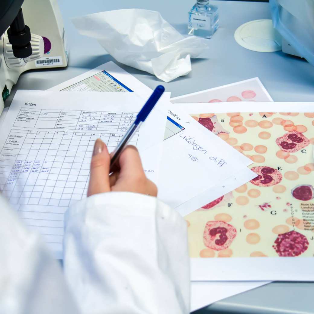 Hoe ziet jouw toekomst eruit met een diploma Biologie en Medisch ...
