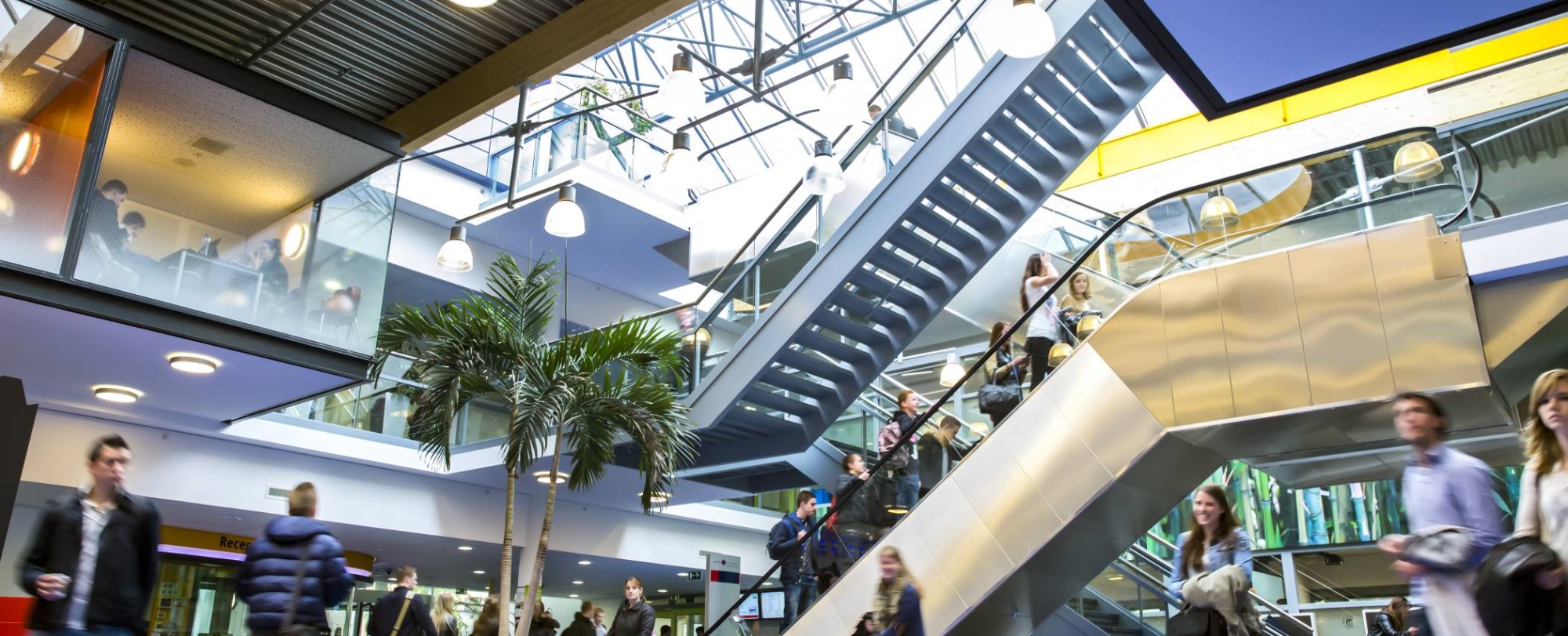 Bedrijfskunde voltijd | Dit is hbo Bedrijfskunde bij de HAN