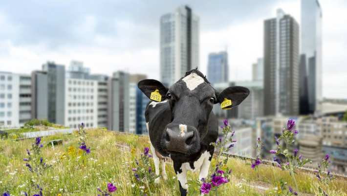 Word een changemaker. Join de HAN