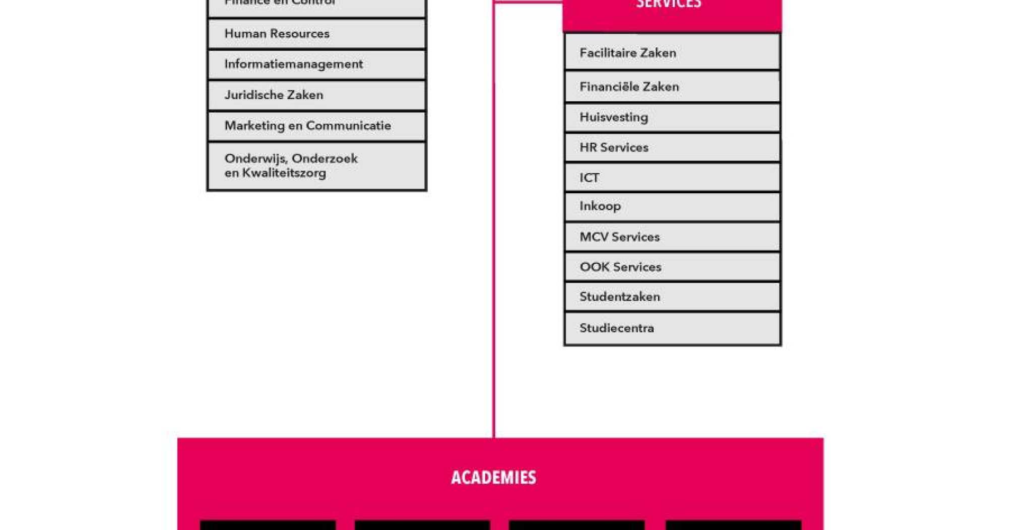 Bekijk het organogram van de HAN en ontdek de structuur