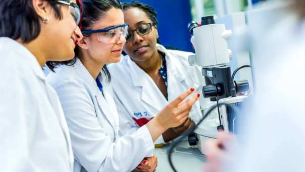 Hbo-opleiding Biologie en Medisch Laboratoriumonderzoek (bml) voltijd