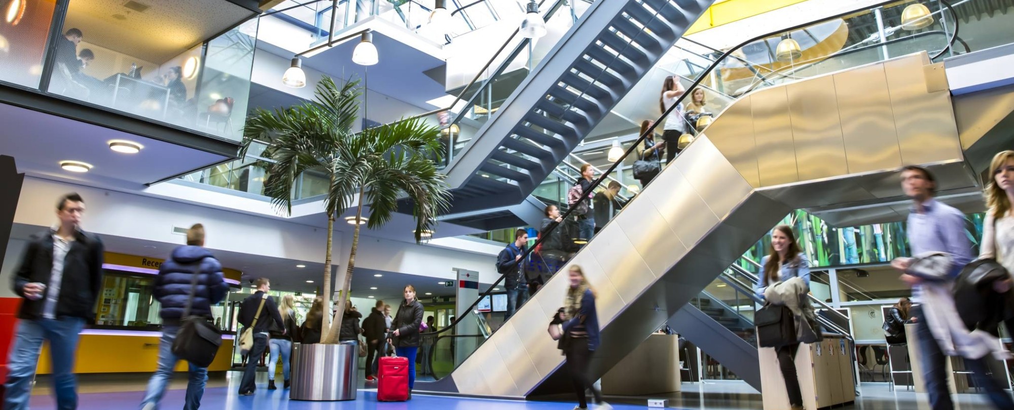 HBO-Rechten Voltijd | Hoe ziet de opleiding eruit?