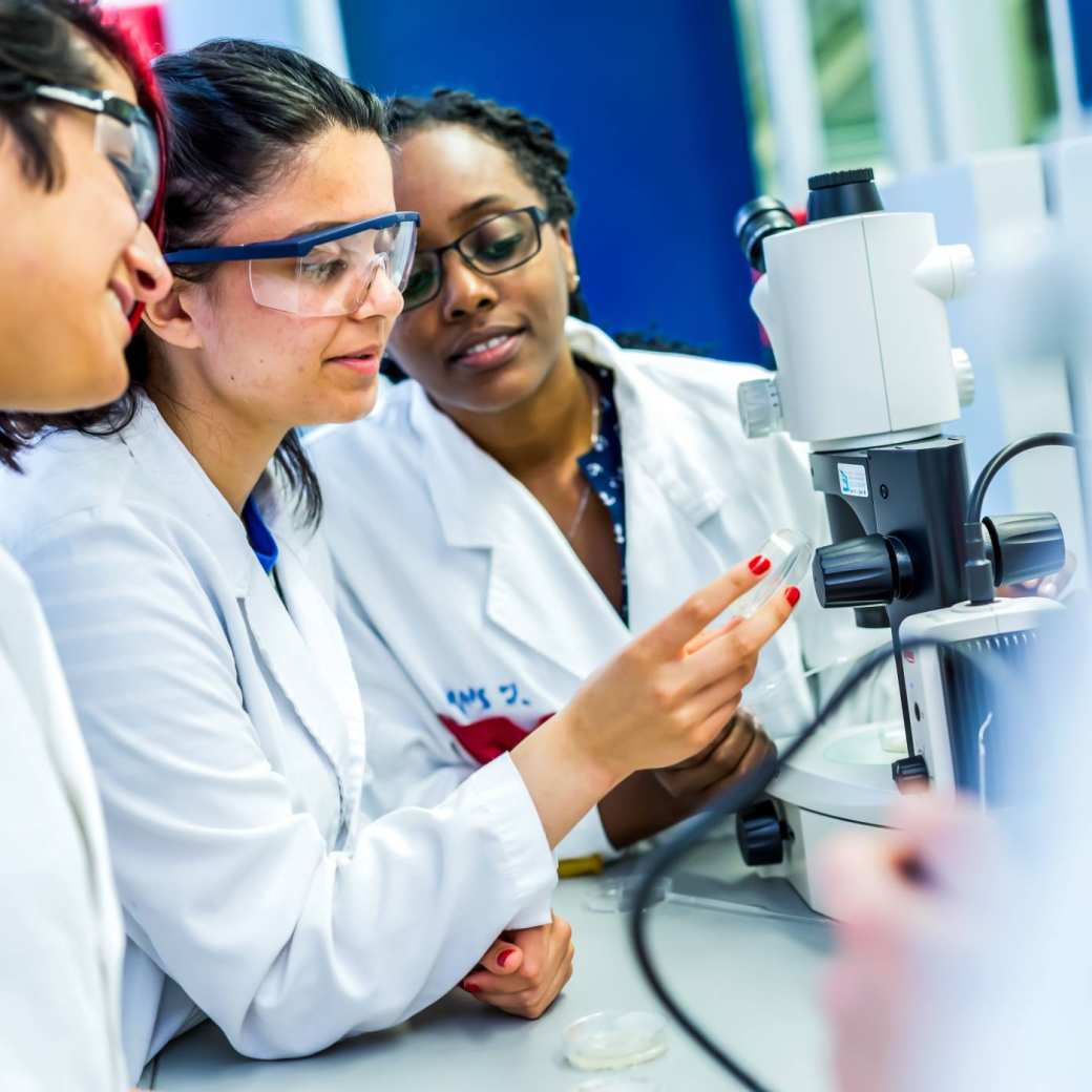 Hbo-opleiding Biologie en Medisch Laboratoriumonderzoek overzicht van ...