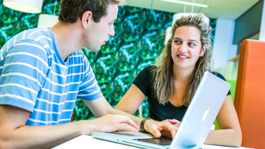 Wat ga je leren in de hbo-studie Bio-informatica. Check de tijdlijn!